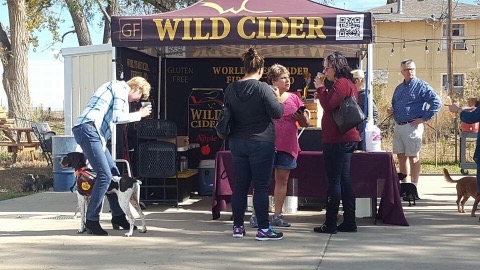 Cider Garden – Wild Cider