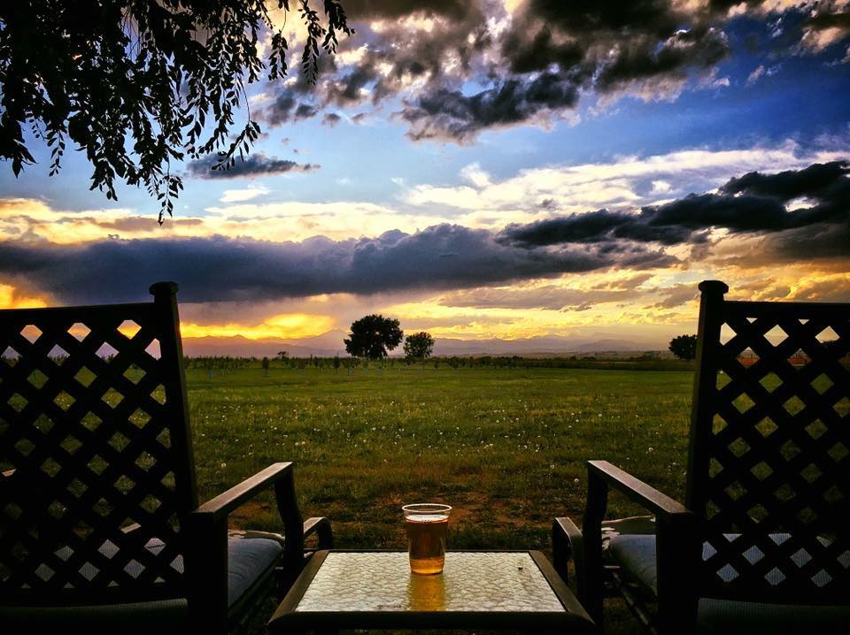 Cider Garden – Wild Cider